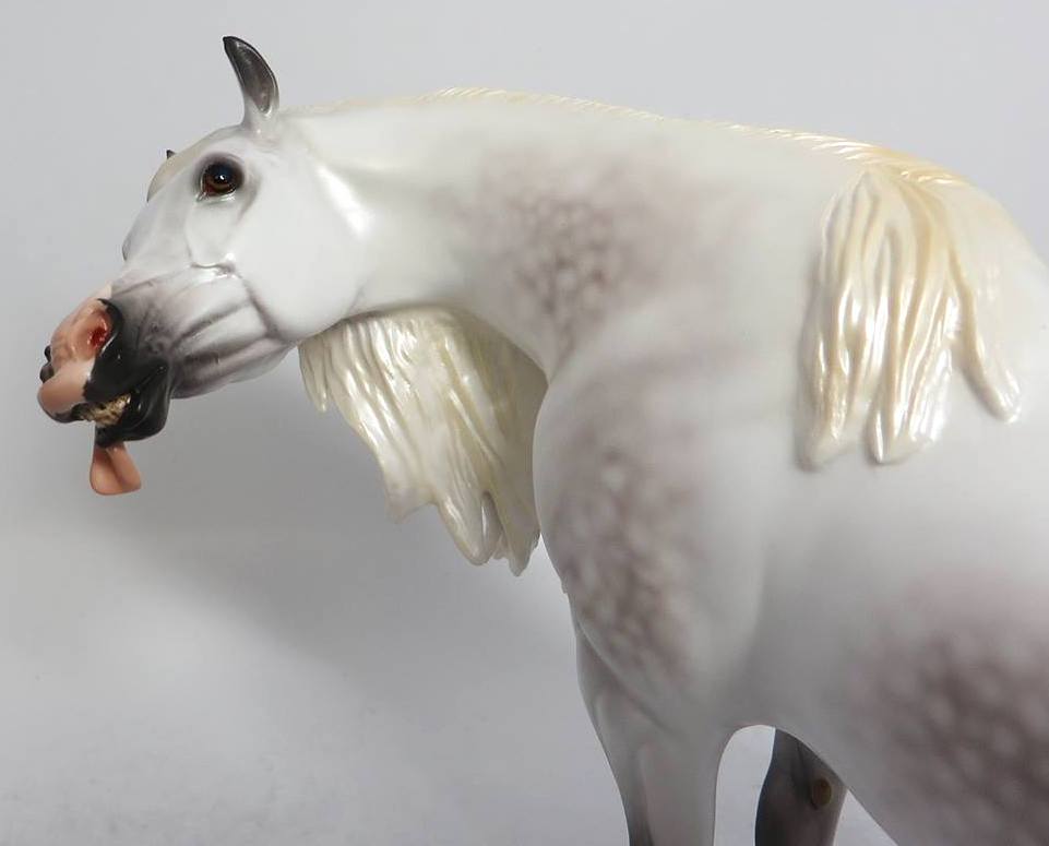 Dapple Grey Arabian by Boydston | StoneHorseRef